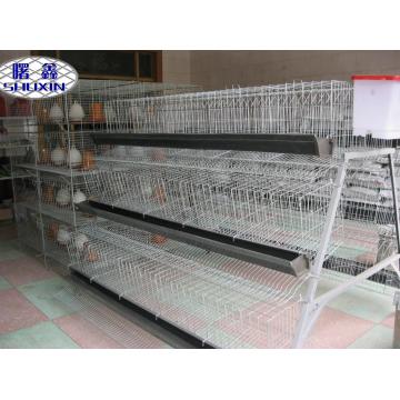Quality Professional Automatic Layer Chicken Cage For Commercial Chicken Farm for sale