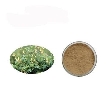 Quality High Purity Anti Cancer Polysaccharides Astragalus Extract Powder for sale