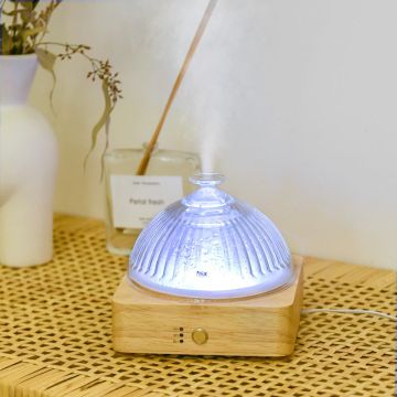 Quality Solid Wood Glass Aroma Diffuser▕ DN-839 for sale