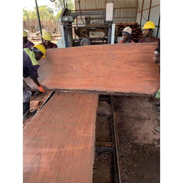 Quality MJ1000E 1000mm Wood Portable Sawmill Horizontal Bandsaw Mill for sale