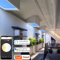 Quality 95RA 60HZ Fake Daylight Window , Practical Skylight LED Flat Panel for sale