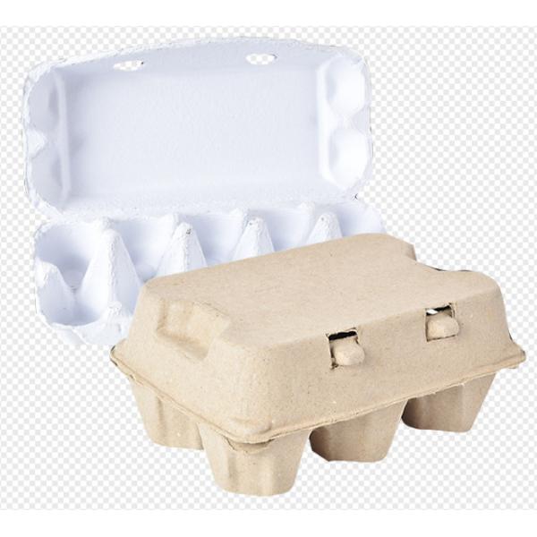 Quality Rotary Automatic Egg Tray Machine For Carton Production Industry 4000Pcs / H for sale