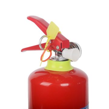 Quality SWDPN-01:1KG 20% BC Dry Powder Fire Extinguisher for All Types of Fires for sale