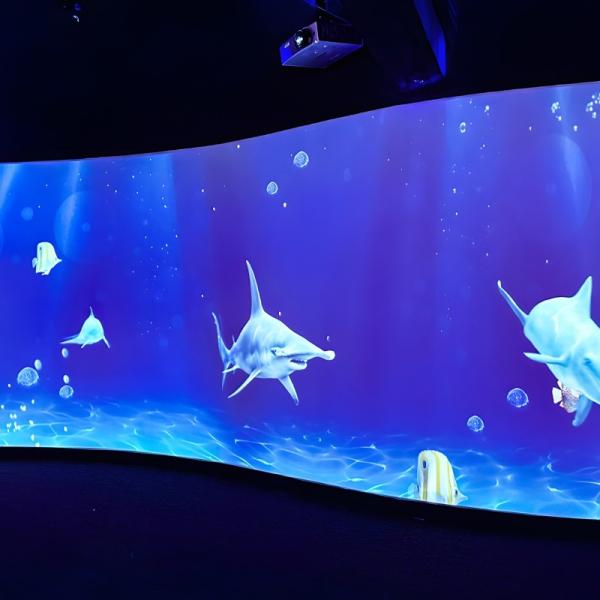 Quality AR Interactive Wall 3d Immersive Room Holographic Wall Projection Game for sale