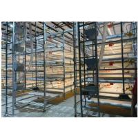 China Automatic Harvesting Broiler Cage Steel Poultry Houses factory