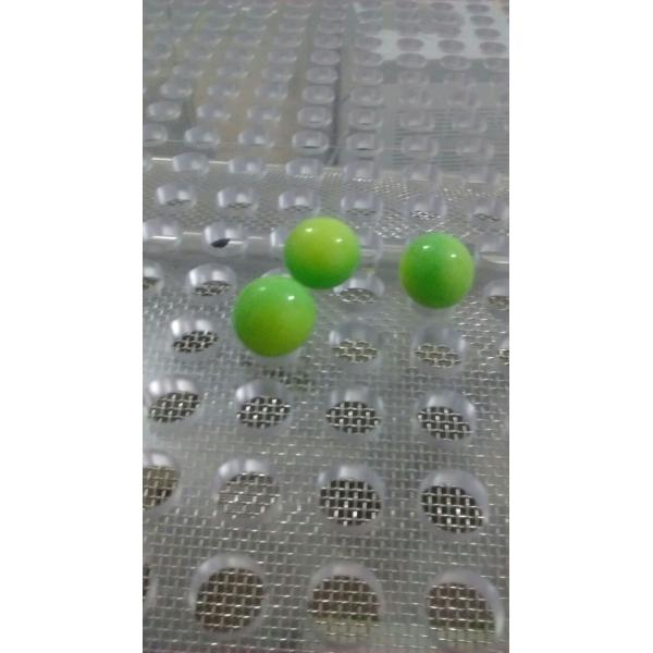 Quality Capsule and paintball Encapsulation Tumbler Dryer Energy saving for sale
