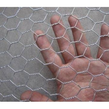 Quality Galvanized hexagonal wire netting Iron wire mesh for sale