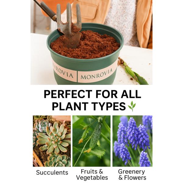 Quality 3 Liters Water Needed Grow Smarter Compressed Peat Bricks for sale