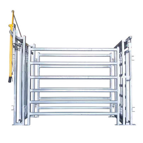 Quality Hot DIP Galvanized Cattle Yard Crush Headbail Stability And Security for sale