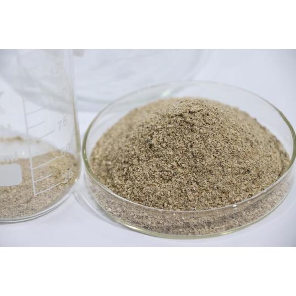 Quality High Concentration Water Treatment Bio Bacteria Form Powder for sale