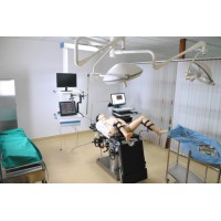 Quality Import Material Comprehensive Obstetrics Model for School Training and Teaching for sale