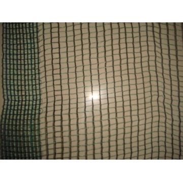 Quality Anti Hail Nets For Grape for sale
