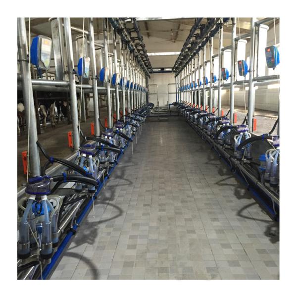 Quality Electric goat Herringbone Milking Parlor with Automatic system for sale