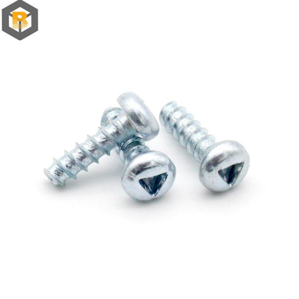 Quality Polishing Special Applications Security Fasteners BY-0515 for Customized for sale