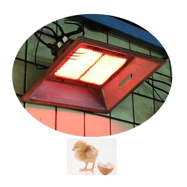 Quality Wall Mounted Infrared Brooder Heater Indoor Ceramic Heater For Birds Purple for sale