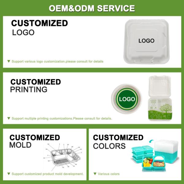 Quality Customized Size Take away Food Packaging Hinged Plastic PP MFPP Disposable food for sale