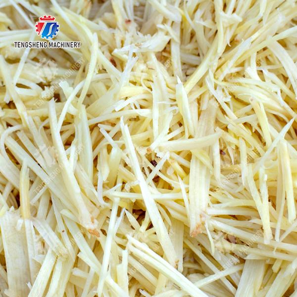 Quality Carrot radish Ginger Shredding machine Bamboo shoots Cutting processing for sale