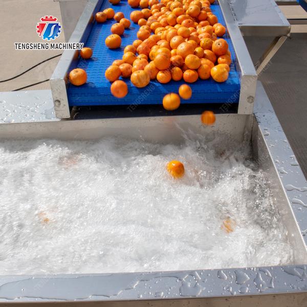 Quality vegetable drying equipment Fruit and vegetable selection washing and drying for sale
