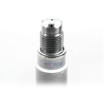 Quality OEM Prechamber Spark Plug 12452828 For Overhauling Of MWM TCG2020 Gas Engine for sale