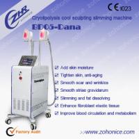 Quality Professional Cryolipolysis Slimming Machine Weight Loss Beauty Equipment for sale
