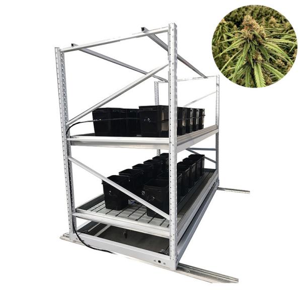 Quality OEM ODM 4x8 Mobile Hydroponic Growing Racks For Commercial Marijuana for sale