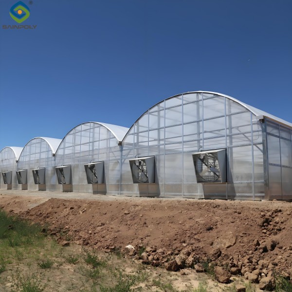 Quality Multi Wall Polycarbonate Gothic Style Greenhouse With Hollow Sheet for sale
