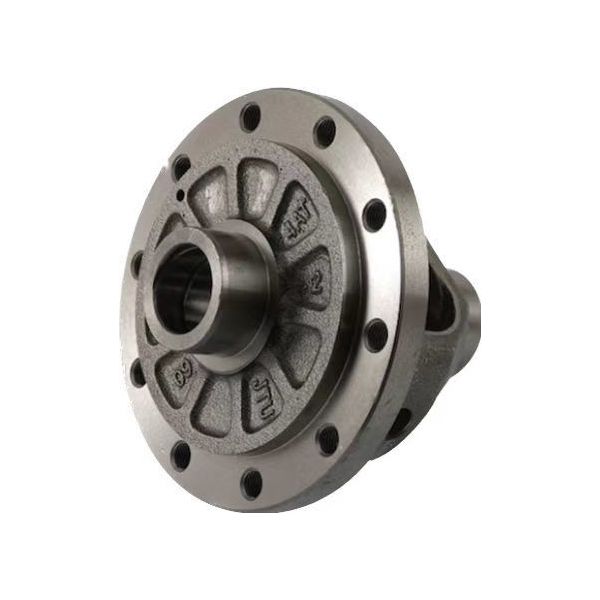 Quality 1000 Nm Torque Capacity Differential Assembly Advanced Manufacturing Technology Casting for sale