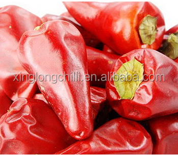 Factory price Sichuan bullet red pepper chilli