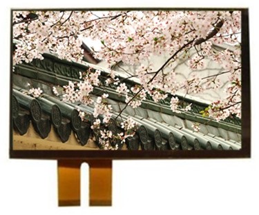 Quality Customized 10.1inch SPI TFT LCD Display IPS LCD Screen 1920(RGB)X1080 for sale