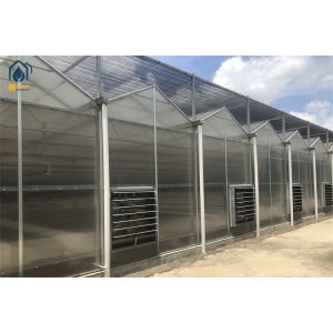 Quality Polycarbonate Greenhouse for sale