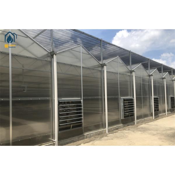 Quality Customized Modern Farms Greenhouse UV Resistant Polycarbonate Panel Greenhouse for sale