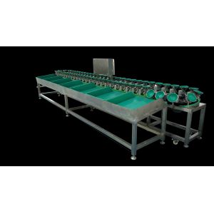 Quality 0.6KW Mango Garlic Vegetable Grading Machine Lemon Sorting System for sale