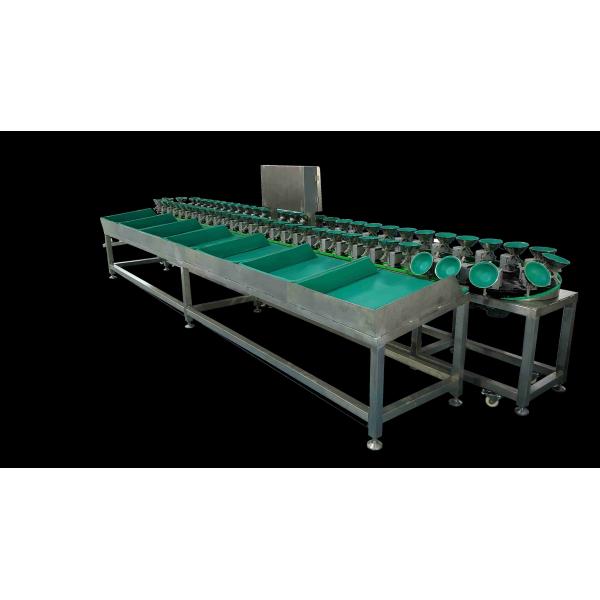 Quality 0.6KW Mango Garlic Vegetable Grading Machine Lemon Sorting System for sale