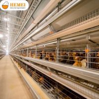 Quality “H” Type Layer Chicken Cage Equipment for sale