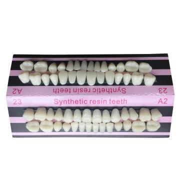 Repair Dental Acrylic Resin Teeth Material In Dentistry Single Layer