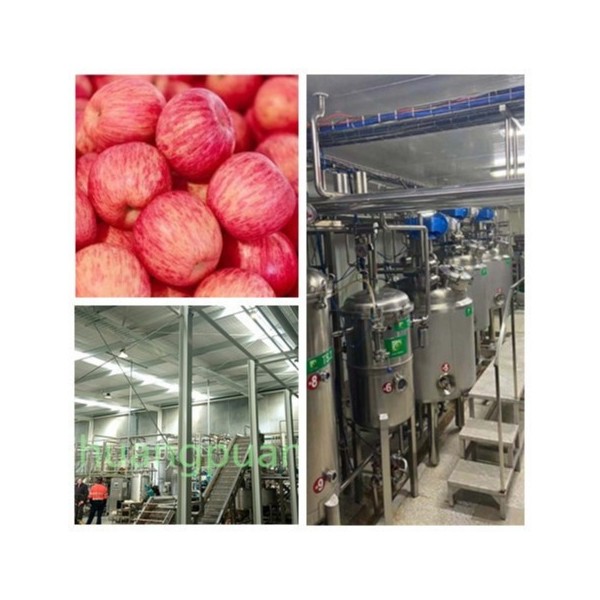Quality Multi Stage Filtration Apple Processing Equipment Cold Pressing for sale