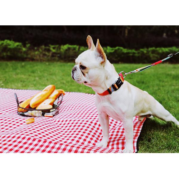 Quality Wide Orange Reflective Dog Collars 1 1.5 2 3 inch Personalized Reflective Puppy for sale