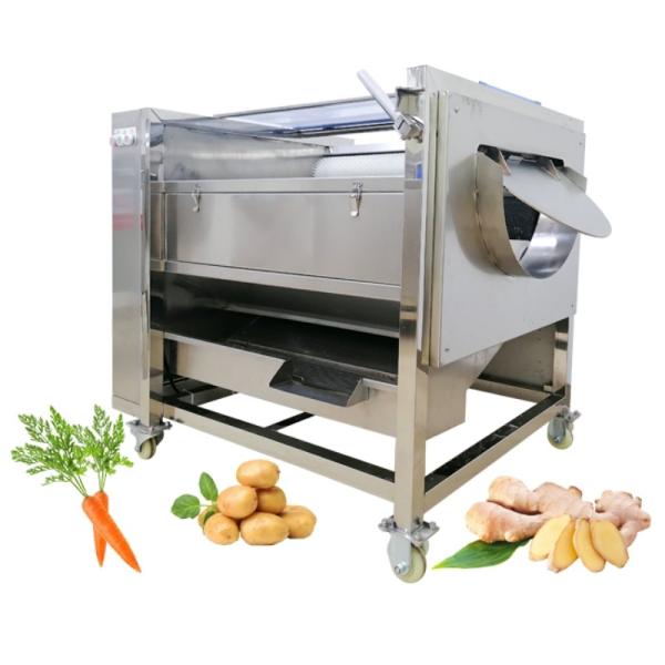 Quality Large Scale Production Fruit Vegetable Processing Equipment with 220V Voltage for sale