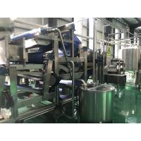 Quality 415V SS316 Grape Pineapple Juice Processing Machine for sale