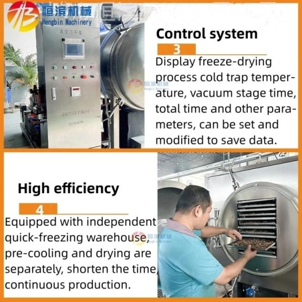 Quality 200kg per Batch High Productivity Commercial Freeze Drying Machine for Easy for sale