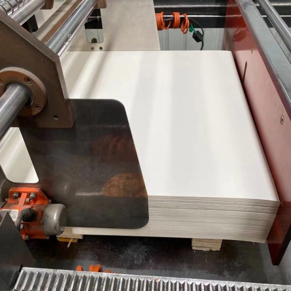 Quality Double PE Coated Paper Cup Sheet 260GSM Flexo Printed for sale