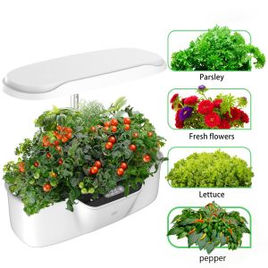 Quality 2.5L Herb Garden Light Kits NFT Channel Hydroponic Irrigation System 12W for sale