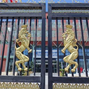 Quality Security Rolling Wrought Iron Gate Doors Residential Outdoor 10 Gauge for sale