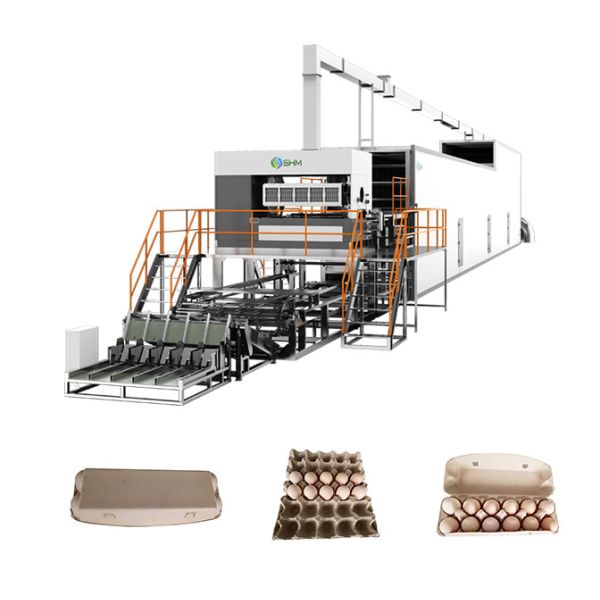 Quality Industrial Rotary Egg Tray Machine Egg Tray Manufacturing Machine for sale