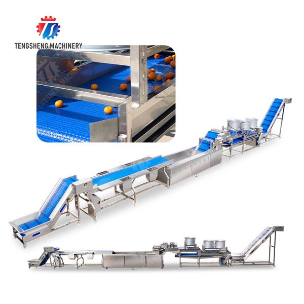 Quality vegetable drying equipment Fruit and vegetable selection washing and drying for sale