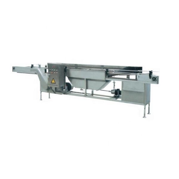 Quality Automatic Conveyor System Glass Jar Sterilizer for Second Sterilizing in Juice for sale