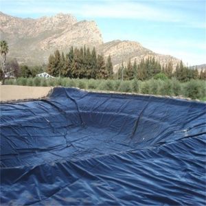 Quality 1mm HDPE Geomembrane Pond Liner for Aquaculture in Mexico Environmentally for sale