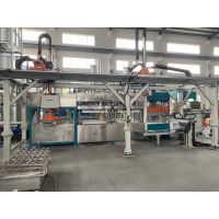 Quality 270kgs/h Virgin Pulp Plate Making Machine Pulp Tray Making Equipment for sale