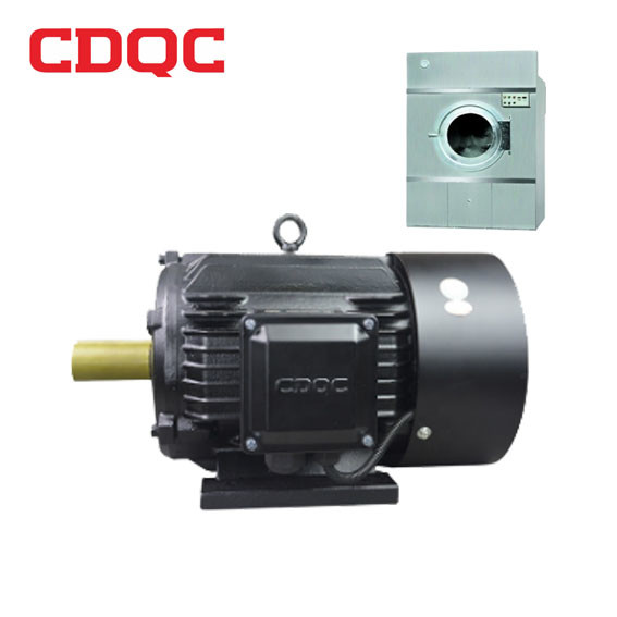 Quality Induction Variable Frequency Induction Motor Stable Asynchronous Motor for for sale