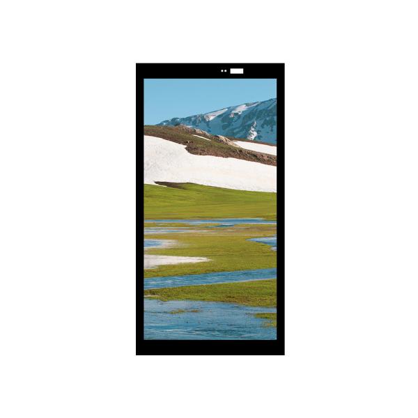 Quality 350 Cd/M2 6.9 Inch Display 720*1440 30 Pin Display MIPI Interface for sale